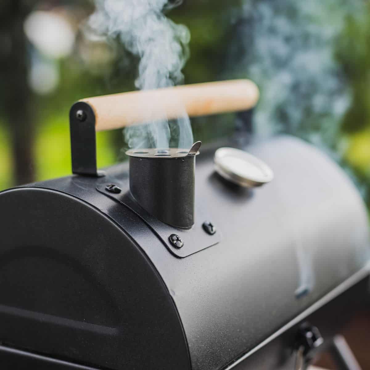 Substitute for Liquid Smoke (Best Alternatives) - Dances with Knives