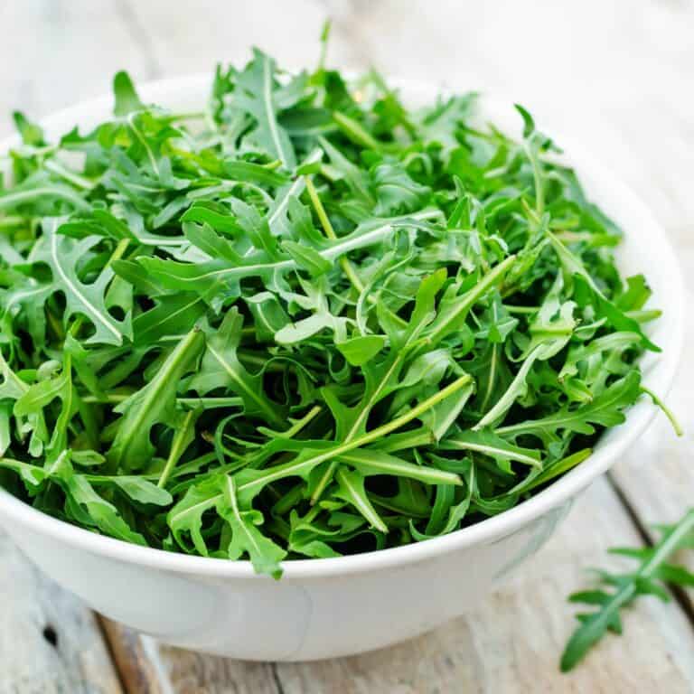 Best Arugula Substitute (Top 19 Alternatives) - Dances with Knives