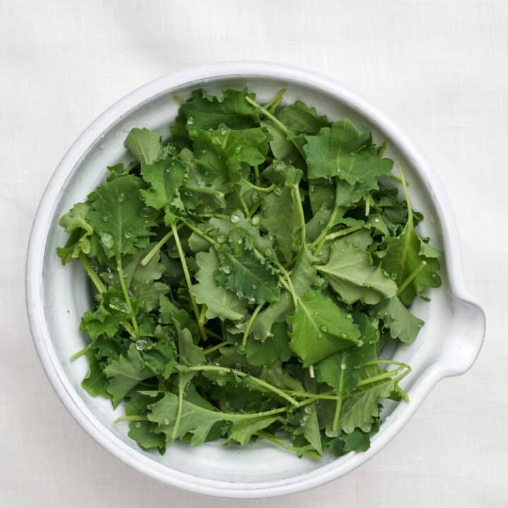 Best Arugula Substitute (Top 19 Alternatives) - Dances with Knives