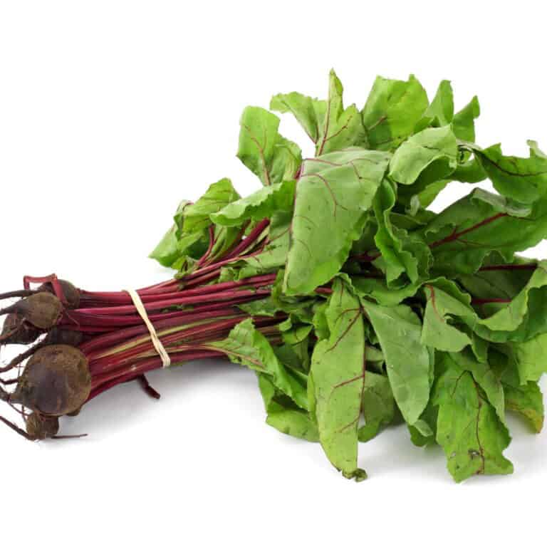 Best Arugula Substitute (Top 19 Alternatives) - Dances with Knives