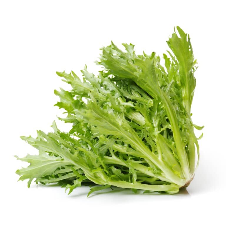 Best Arugula Substitute (Top 19 Alternatives) - Dances with Knives