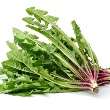 Best Arugula Substitute (Top 19 Alternatives) - Dances with Knives