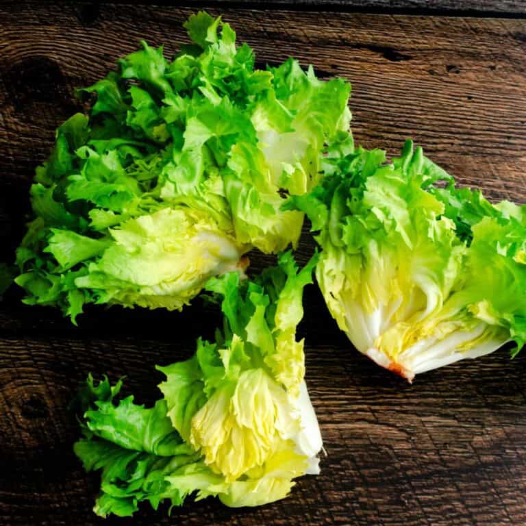Best Arugula Substitute (Top 19 Alternatives) - Dances with Knives