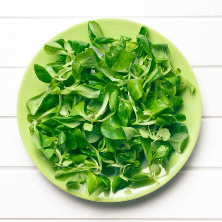 Best Arugula Substitute (Top 19 Alternatives) - Dances with Knives