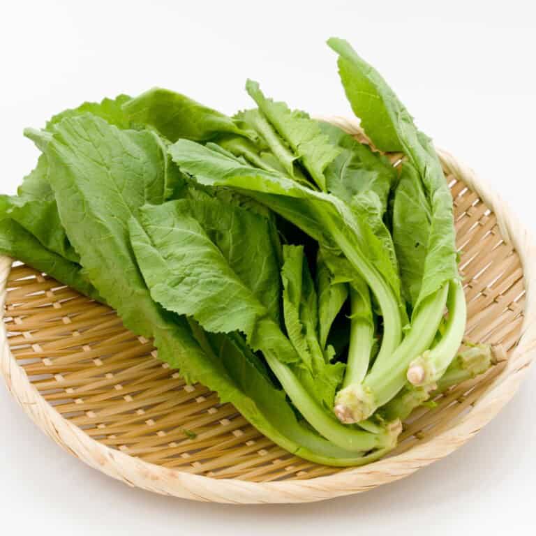 Best Arugula Substitute (Top 19 Alternatives) - Dances with Knives
