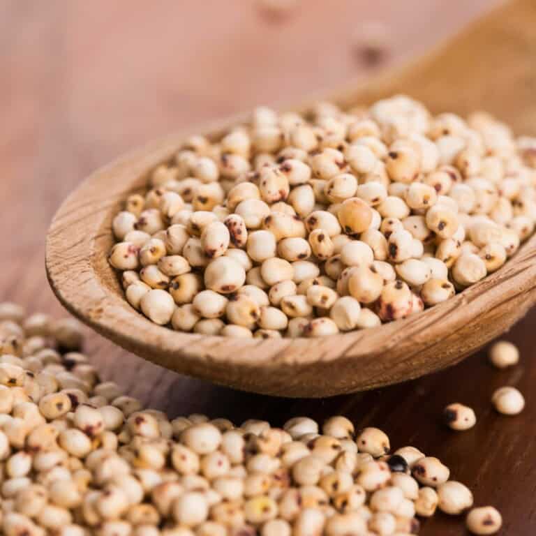 Best Quinoa Substitute (Top 16 Alternatives) - Dances with Knives
