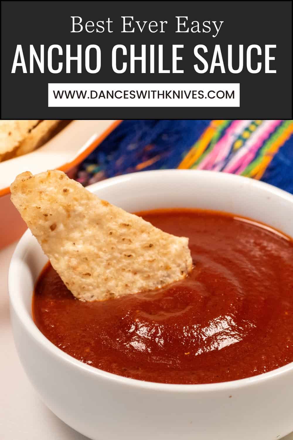 Ancho Chile Sauce (Salsa Chile Ancho) - Dances with Knives